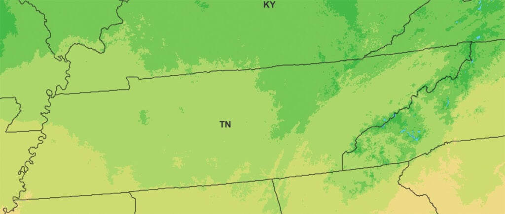 Fall Planting Guide for Chattanooga | Broadleaf Residential